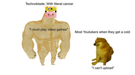 14 Of The Best Technoblade Memes From Our Reddit Meme Contest Artofit