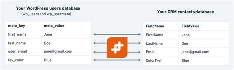 Detecting And Syncing Additional Fields Wp Fusion