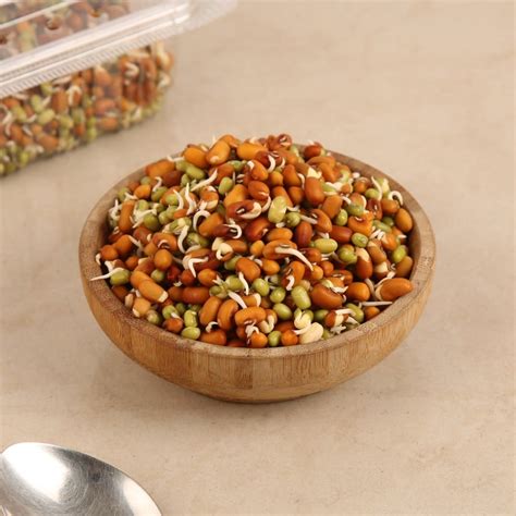 Mixed Sprouts 1 Pc Vegip