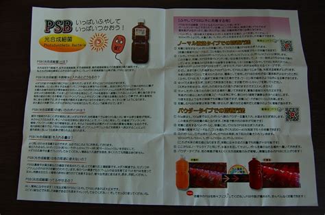 メダカ飼育に使えるpsb（光合成細菌）の増やし方