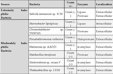 Halophilic Bacteria