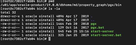 Error When Start Start Server For The First Time Oracle Forums