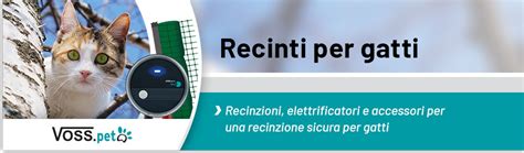 Reti Di Protezione Per Gatti
