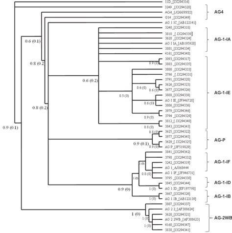 Phylogenetic Analysis Using Bayesian Inference Based On Its Sequences