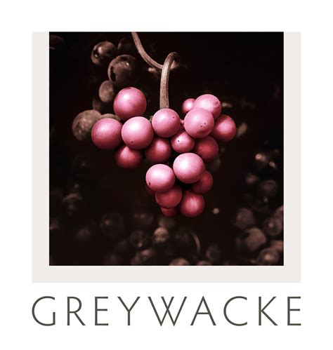 Greywacke Wines