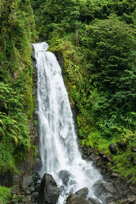 15 Stunning Caribbean Waterfalls To Visit Celebrity Cruises