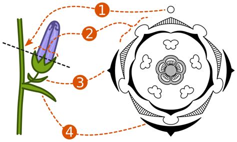 Qué Es Un Diagrama Y Para Qué Sirve