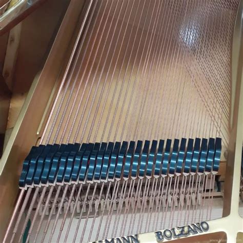 Used Schulze And Pollmann S 160 101 Cm Lecce Tuning Included In The Price Grand Pianos For