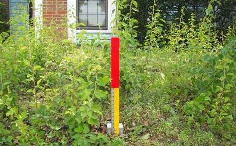 Code Enforcement Tips For Avoiding Nuisance Grass And Weed Violations Livingston Montana