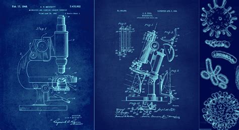 Science Equipment The Compound Microscope Athenaeum Open Academy