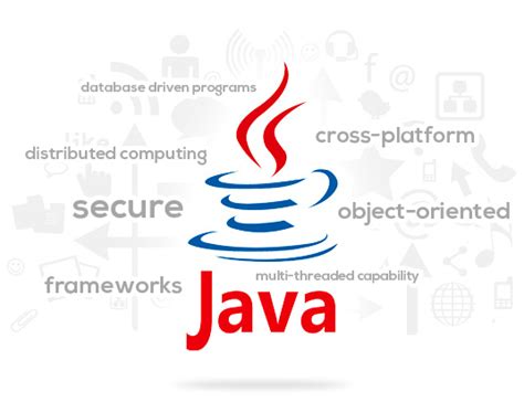Java 码农场