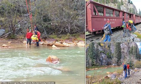 Stranded Hiker Rescued After Being Spotted From Passing Train Daily