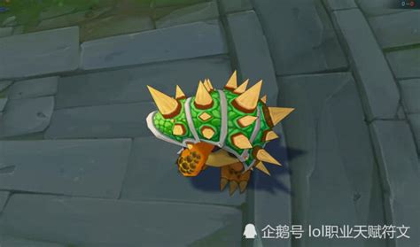 Lol玩家拿国王龙龟皮肤炫耀 网友：2800场人机皮肤都见过感觉