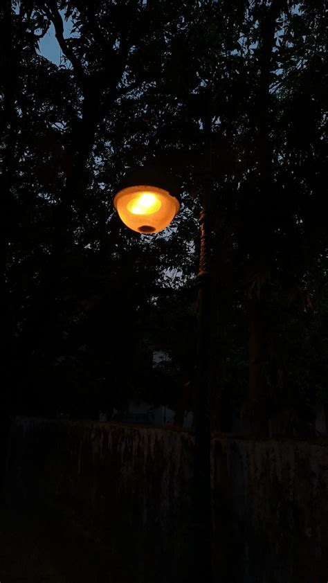 Life Experiencs Careercounselling Spreadinghappiness Gyaannirudra Raunak Gupta