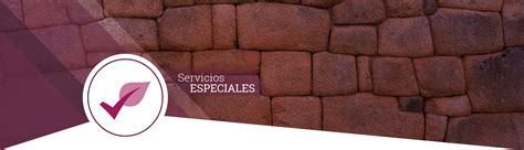 Servicios Especiales Pwi Sostenibilidad Ambiental