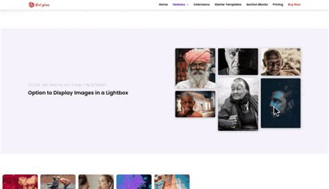 How To Add Divi Masonry Image Galleries With And Without A Plugin