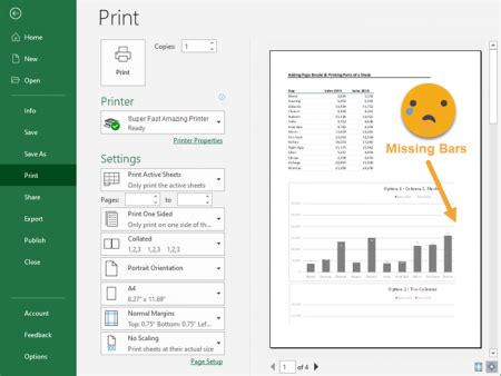 Properly Print Excel Files With These Tips Xelplus Leila Gharani