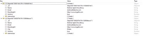 Solve Mongo Db Element Does Not Match Any Field Or Property Of Class