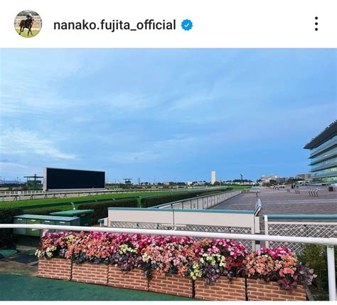 藤田菜七子騎手、jra職員との結婚を発表「昨年秋頃からお付き合い」今後も現役は続行「一層精進」 スポーツ報知