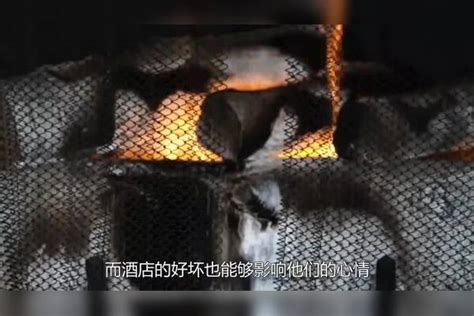入住酒店时记得说这3个暗语前台就明白你是内行人 暗语 内行人 前台