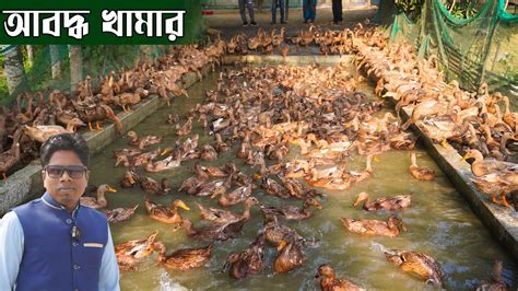 বাড়িতে আবদ্ধ ভাবে হাঁস পালন আবদ্ধ হাঁসের খামার Duck Farming Khamar Bangla 24 Youtube