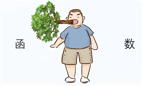 Python青少年编程第三阶 函数 《python等级备考教程》 椰程智库