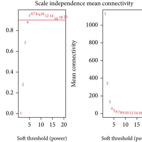 Wgcna And Functional Enrichment Analysis A The Cluster Analysis Was