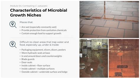 Combating Cronobacter In Foods Causes Concerns And Solutions Ieh