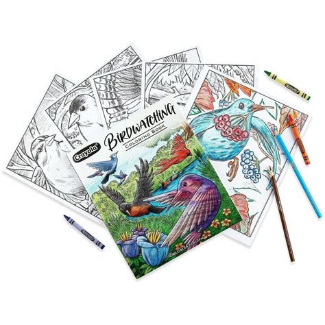 Crayola Bird Watching Coloring Book Printed Book 40 Pages Book