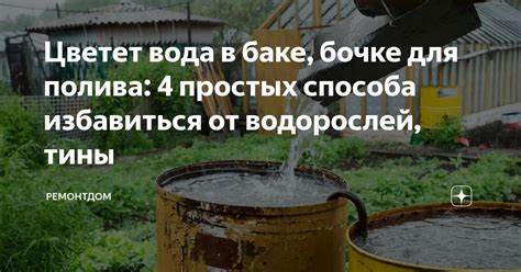 Цветет вода в баке бочке для полива 4 простых способа избавиться от