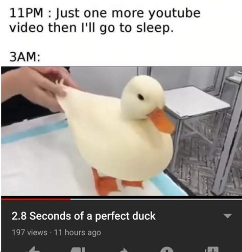 Draw A Duck Meme At Micheal Haber Blog
