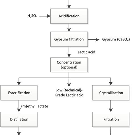 Use Of Lactic Acid As A Chemical Intermediate Lactic Acid Can Be A Download Scientific Diagram