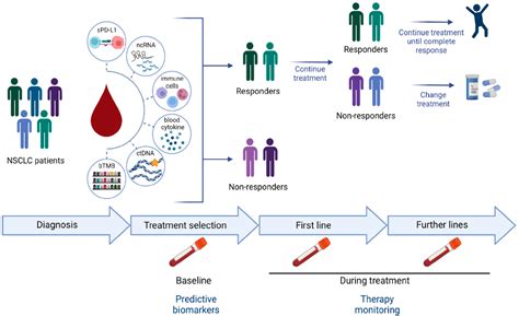 Monitoring And Adapting Cancer Treatment Using Circulating 55 Off