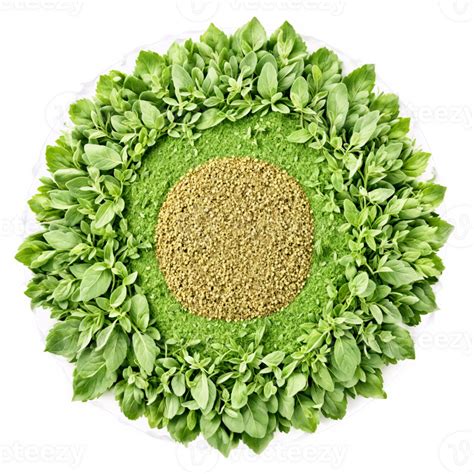 Oregano Mandala A Savory Mandala Of Oregano Leaves With Powder