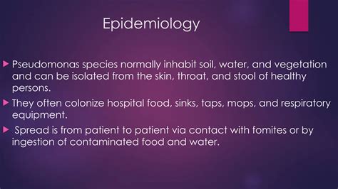 Pseudomonas Aeruginosa Original Pptx Pptx Ppt Free Download