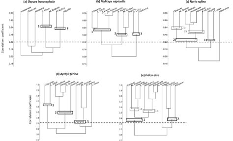 These Dendrograms Show The Similarity Of The Seasonal Patterns Of The