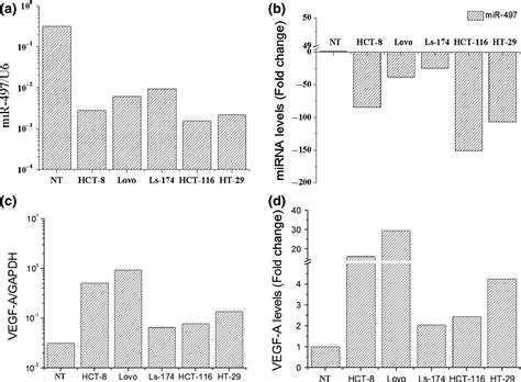 Microrna‐497 Inhibits Invasion And Metastasis Of Colorectal Cancer