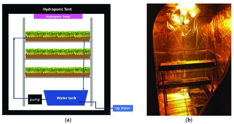 A Schematic Representation And B Photograph Of The Diy Hydroponic Download Scientific