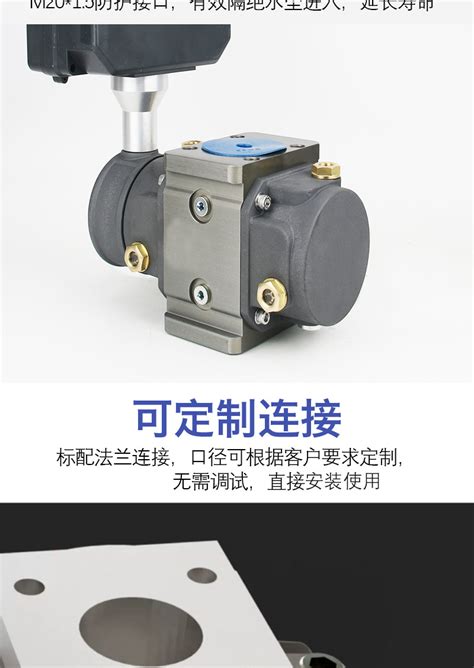 中仪天然气lng管道智能罗茨流量计气体腰轮llq小型燃煤气氮气dn25 阿里巴巴