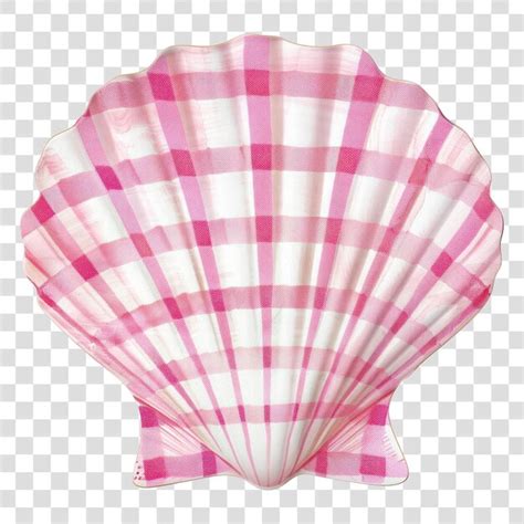 Png Shell Shape Collage Cutout Invertebrate Seashell Seafood Premium
