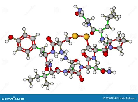Oxytocin Oxt Peptide Hormone And Neuropeptide Molecule Structural