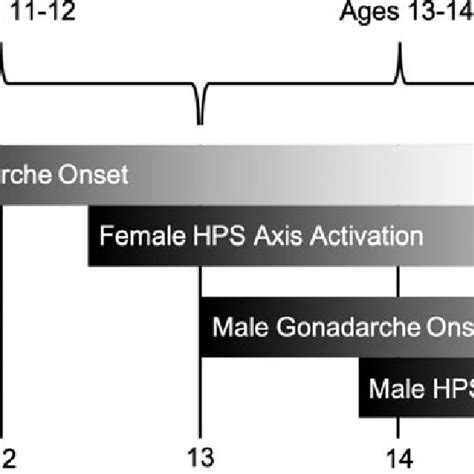 Cfs 3 Latent Factor Mean Comparisons Between Age And Sex Groups