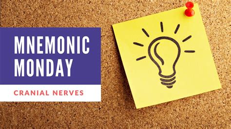 Cranial Nerves Mnemonic Easy To Remember Mnemonic Monday YouTube