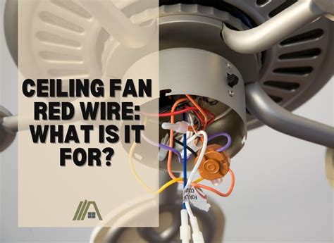 Ceiling Fan Red Wire What Is It For The Tibble