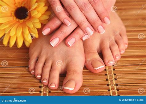 Cuidado De Las Bellas Piernas Femeninas Con Flor Imagen De Archivo