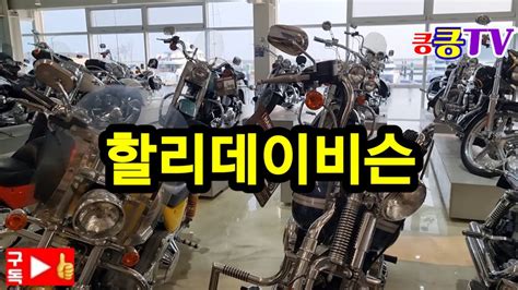 할리바이크 최고의 멋 👍 😍 Youtube