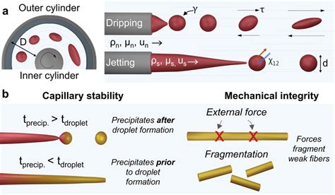 Schematic Of The Processes Leading To Formation Of Polymer Structures