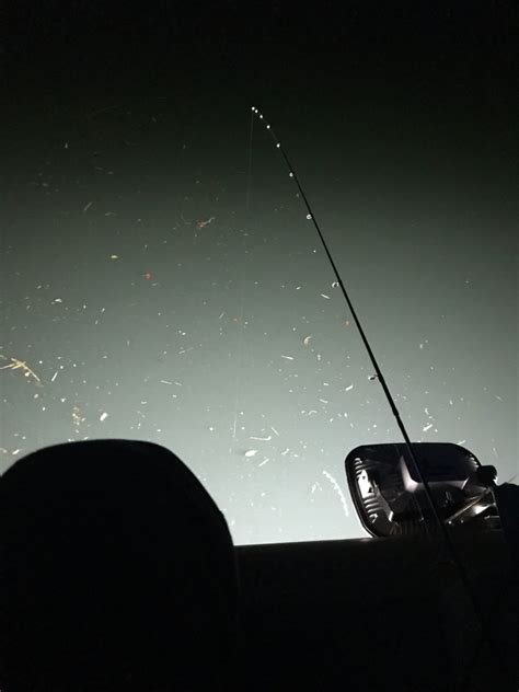 烏賊狩師 さんの 2021年07月05日のヒイカの釣り釣果情報 三重県 伊勢湾 アングラーズ 釣果500万件の魚釣り情報サイト