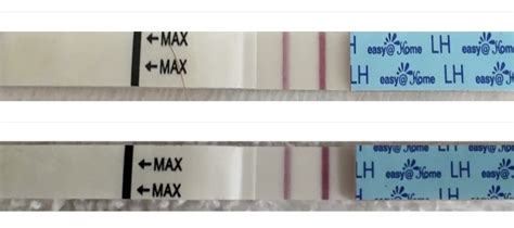 Ovulation Test Strips Mumsnet