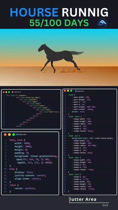webdeveloper days 55 100 days 100 project challenges youtube